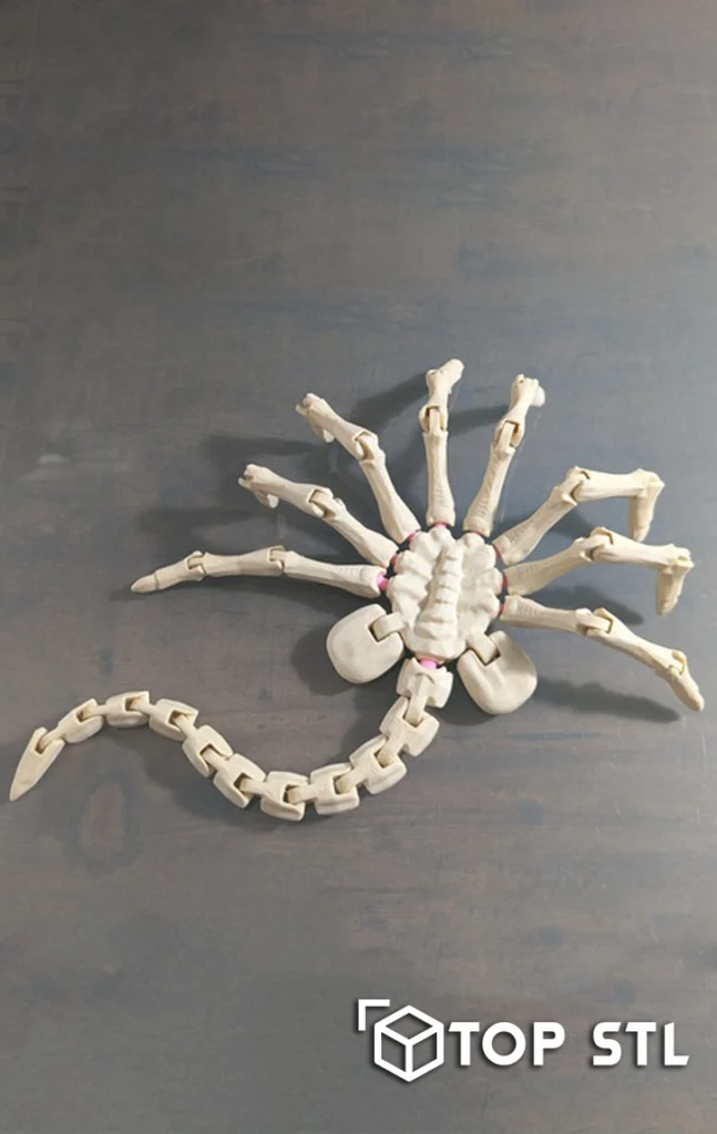 Semi Posable Flexi STL Files - TOP STL