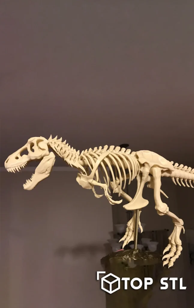 T-Rex Skeleton Fixed STL 3D Print Model - TOP STL